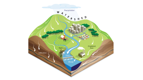 EnvironmentalConservation